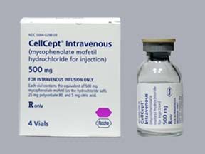 CellCept: Side effects, uses, cost, dosage, and more