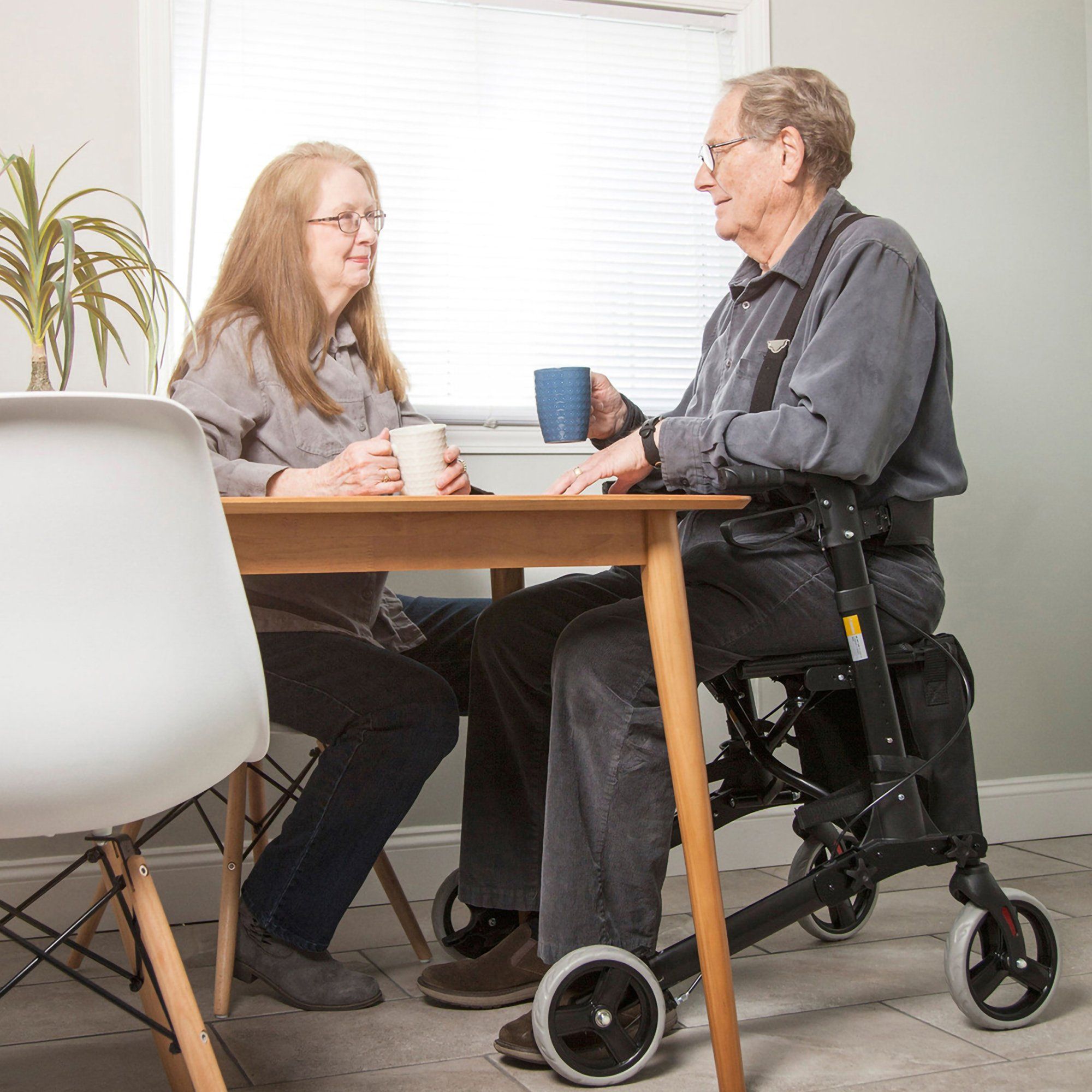 HealthSmart Walker Rollator with Seat & Backrest, Titanium - 300 lbs ...