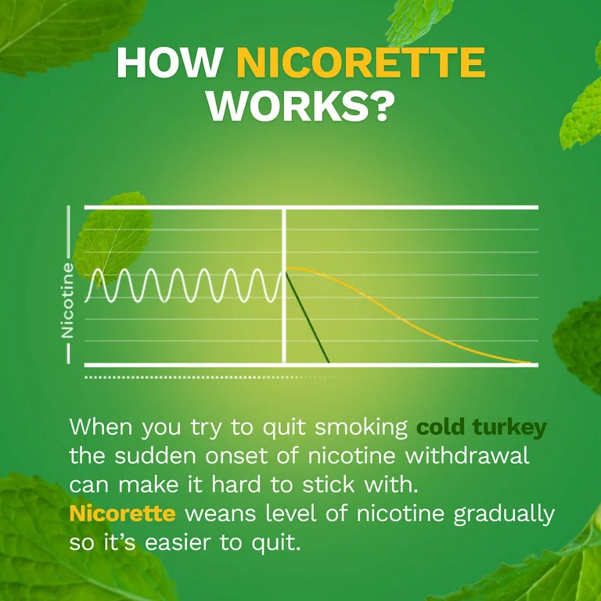Nicorette Coated Nicotine Gum to Stop Smoking, 4 mg, Spearmint Burst ...