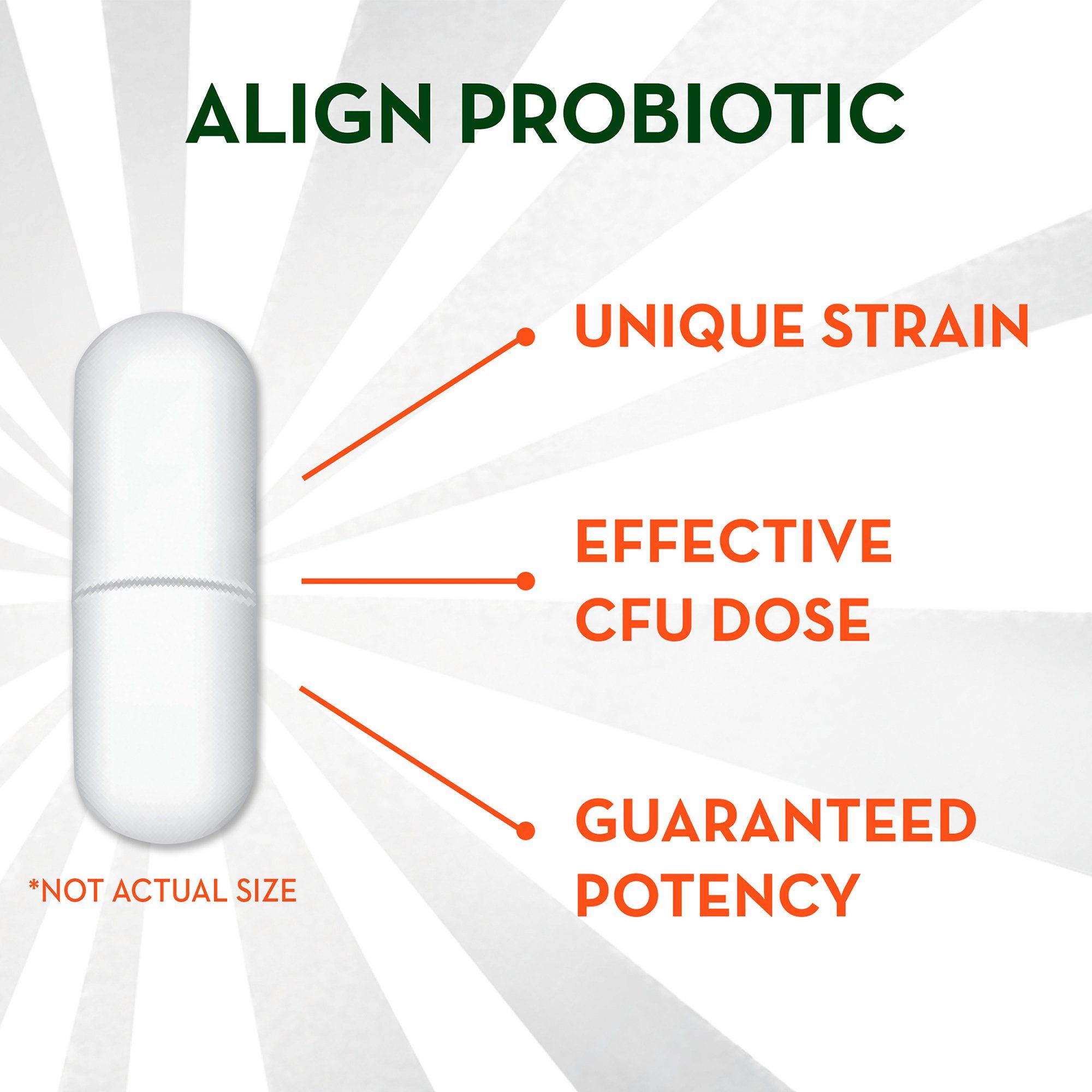 Align Probiotic Digestive Support Capsules - 42 ct