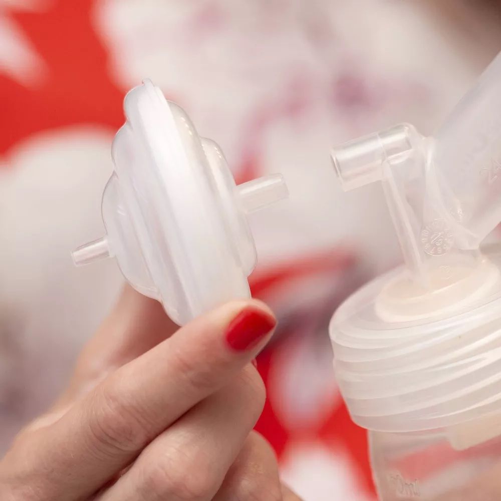 Spectra Backflow Protector - 1 ct