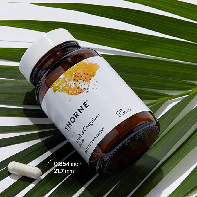 Thorne Bacillus Coagulans Probiotic - 60 ct