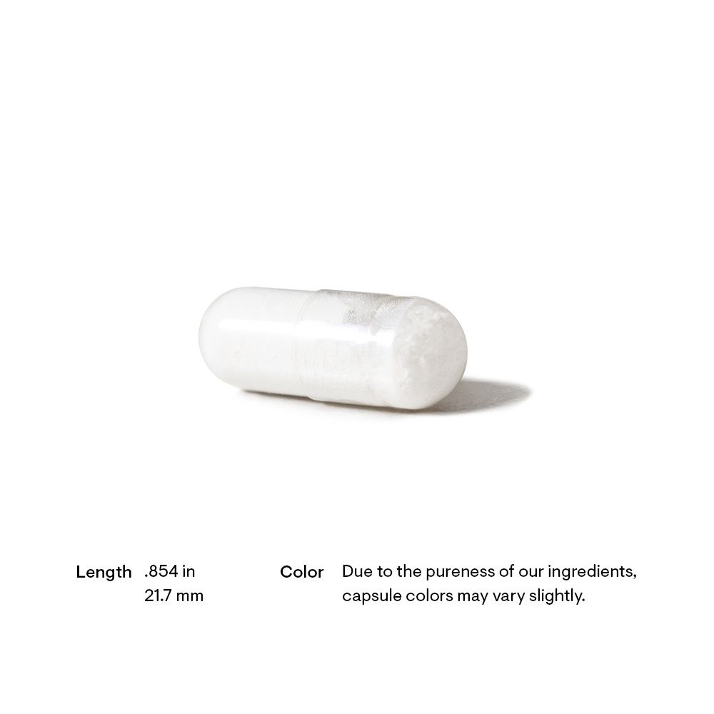 Thorne Bacillus Coagulans Probiotic - 60 ct