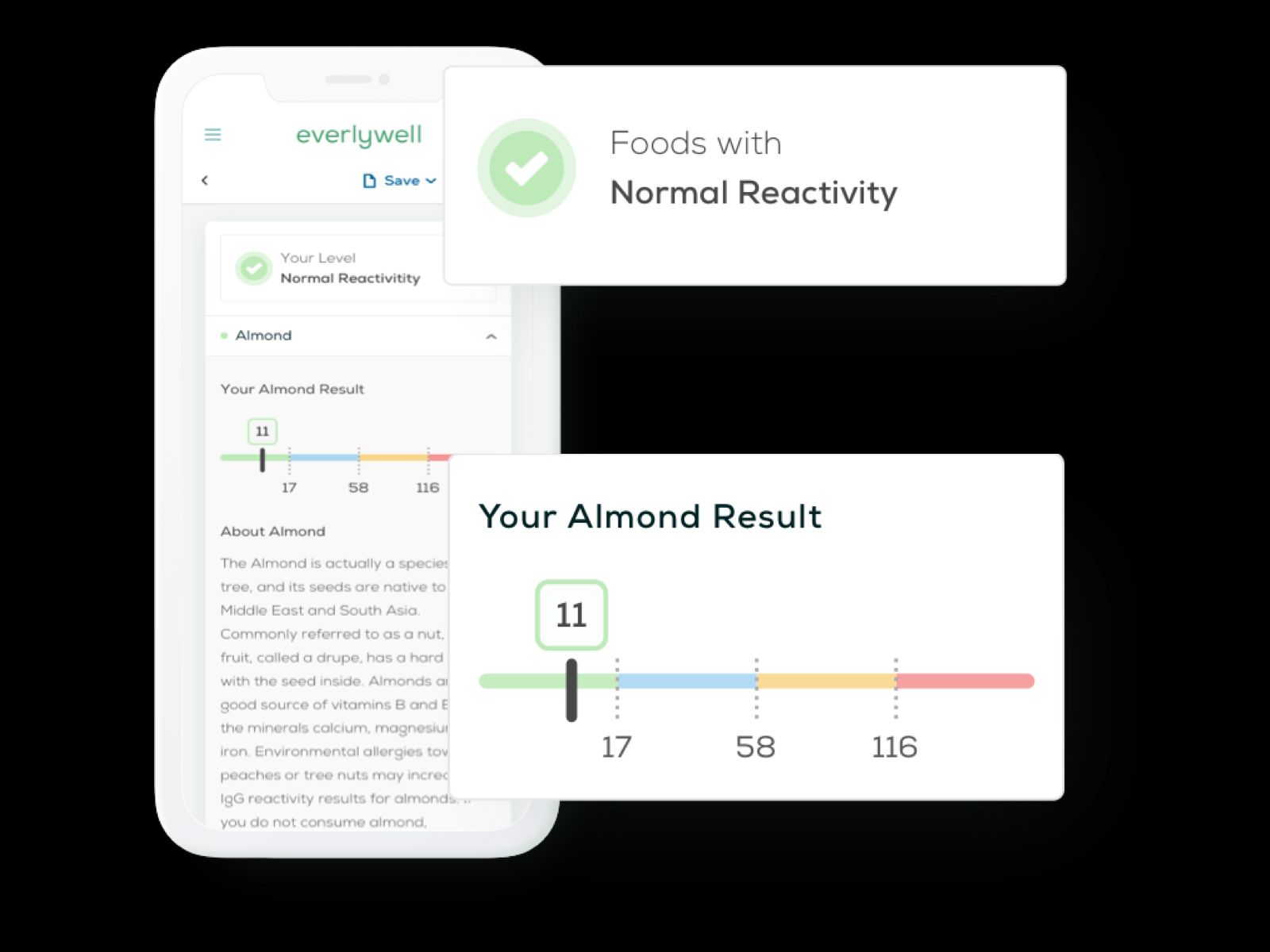 Everlywell Comprehensive Food Sensitivity Test