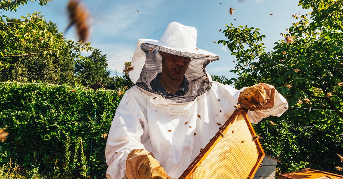 Bee Sting Allergy: Symptoms of Anaphylaxis