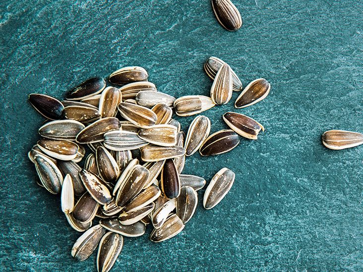 Structure Of Sunflower Seed - Infoupdate.org