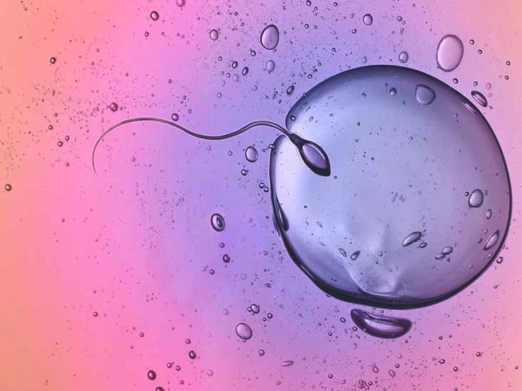 Microphallus In Boys