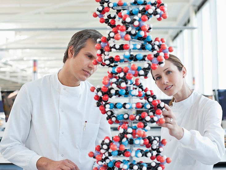 Autosomal DNA: Definition, Dominant, Recessive, Test, Examples