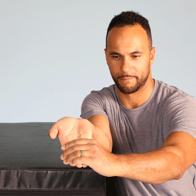 Wrist Flexion And Extension Muscles