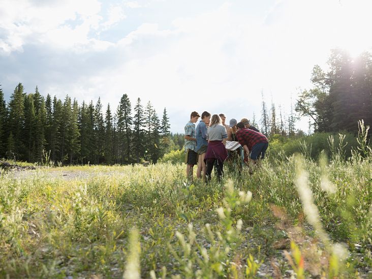 Insects That Can Make You Sick