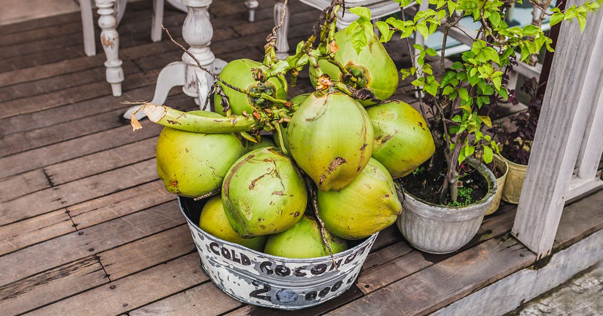Green Coconut: How to Choose and Why They Are Good for You