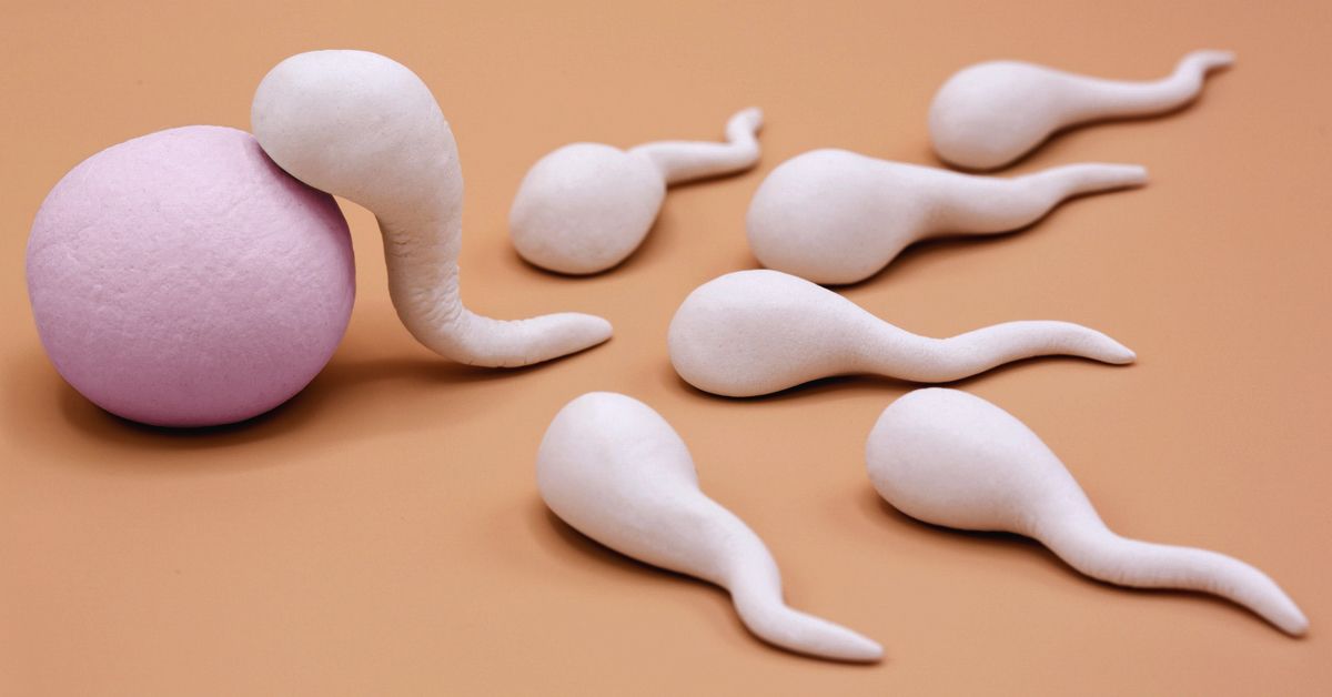 Iui Intrauterine Insemination Success Rates Risks Uses And More