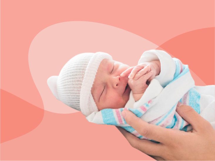 where are midwives based