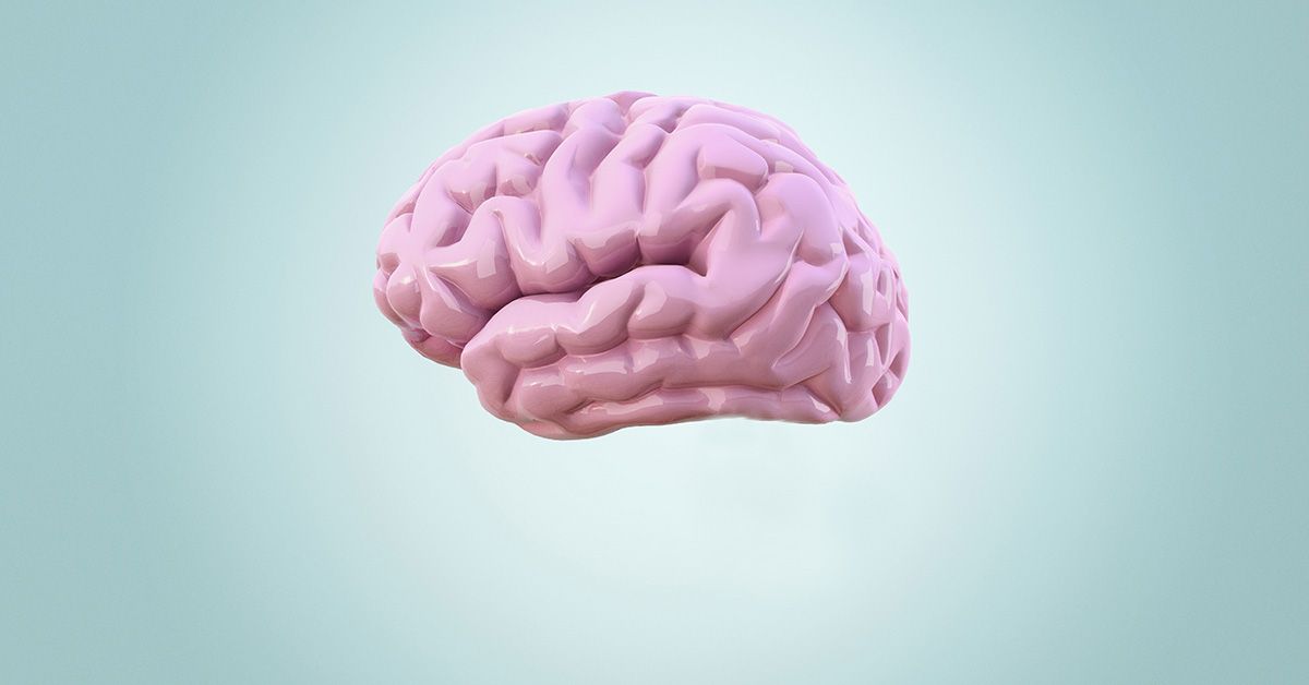 Here’s What Happens When You Remove Half Your Brain