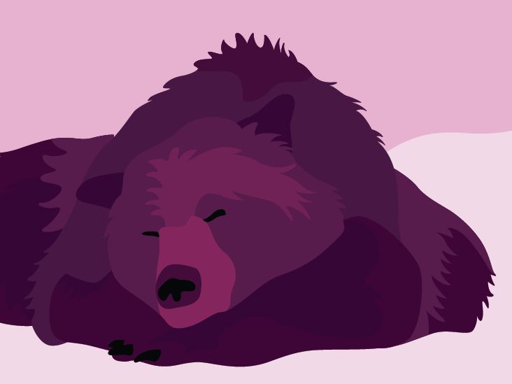 How Your Chronotype, Sleep, and Activity Connect