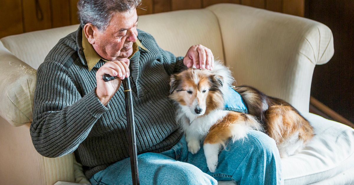 Monoplegia: What It Is, Causes, Symptoms & Treatment