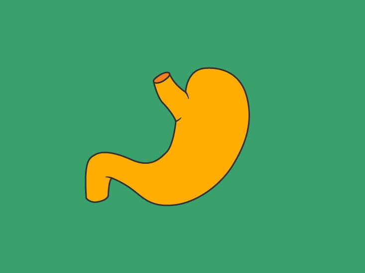 Kidney: Function and Anatomy, Diagram, Conditions, and Health Tips