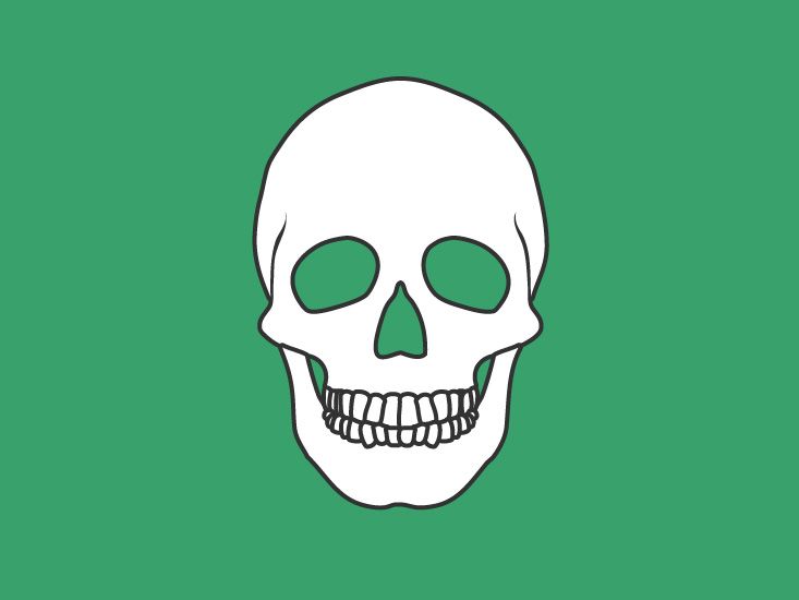 L3 Lumbar Spine Vertebrae Area, Anatomy & Function | Body Maps