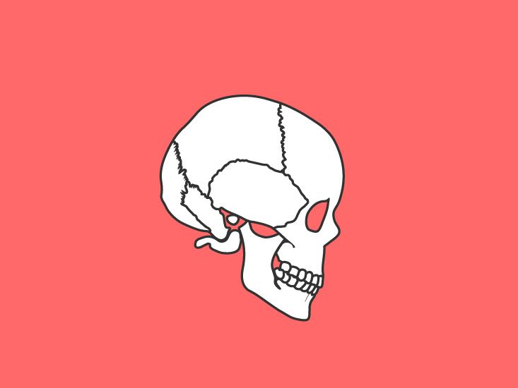 L2 Lumbar Spine Vertebrae Function, Definition & Location | Body Maps