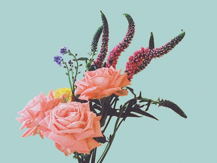 A Beginner’s Guide to Making Herbal Salves and Lotions