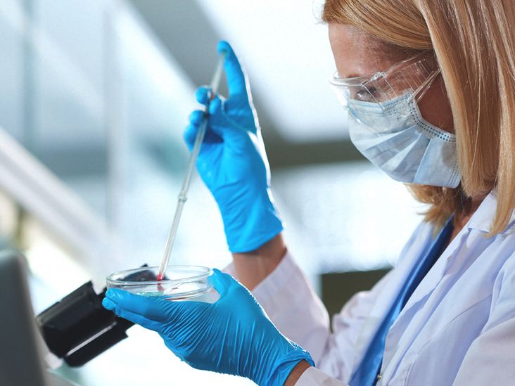 Coccobacilli: Conditions, Symptoms, Causes, and Treatment