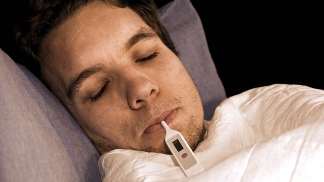 Remedies for a Mild Fever