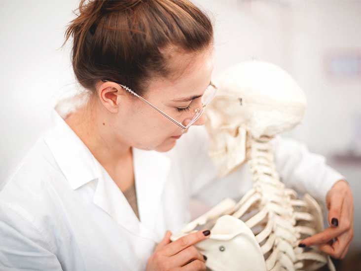 15 Fun Facts About the Skeletal System
