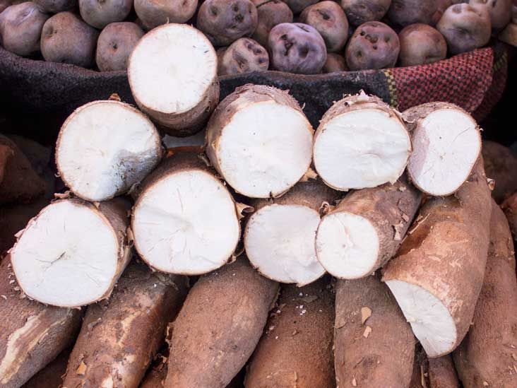 What Is Tapioca and What Is It Good For?