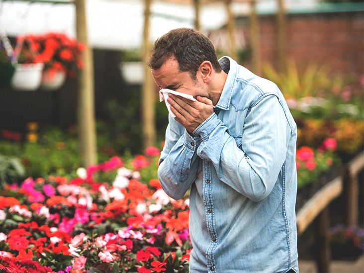 Hay Fever Symptoms: Triggers, Complications, and Treatment