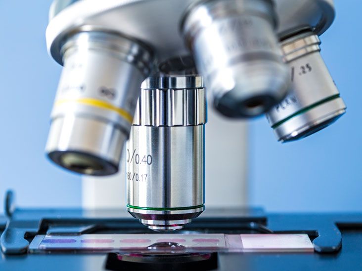 Biopsy: Purpose, Types, and Risks - Healthline