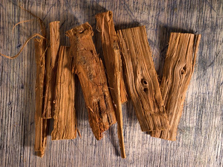 Cat's Claw: Benefits, Side Effects, and Dosage