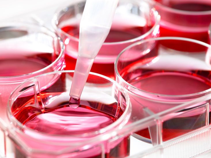 Enzyme Markers: Purpose, Procedure, and Results