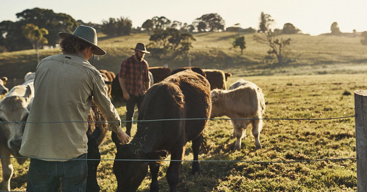 Anthrax: Causes, Dangers, Symptoms, and Treatment