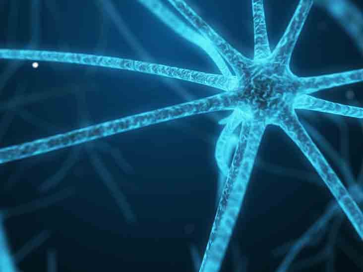 Encephalopathy: Types, Causes, and Symptoms