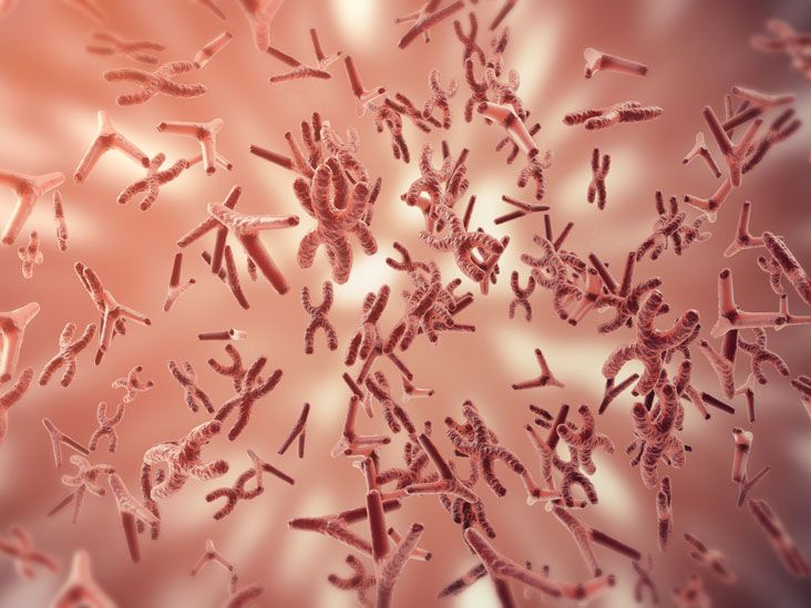 Karyotyping: Overview, Procedure, and Risks