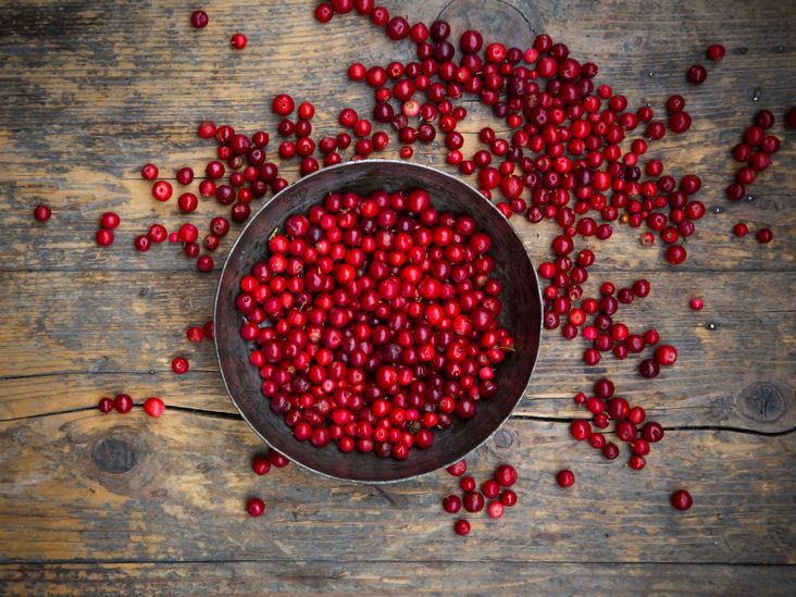 14 Impressive Health Benefits of Lingonberries