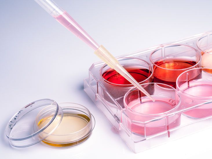 RBC Indices: Purpose, Results, and Procedure