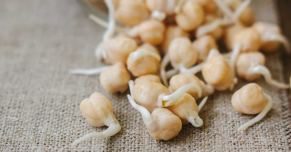 Are Sprouted Grains and Legumes Healthy?