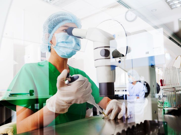 Stem Cell Research: Uses, Types & Examples