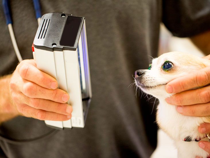 Wood's Lamp Examination: Purpose, Procedure & Results