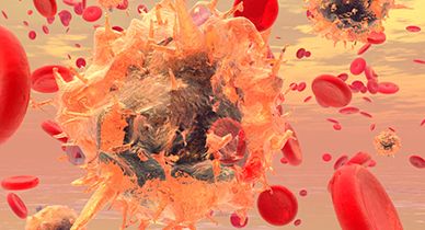 Scientists Cure Lupus in Mice with a One-Two Punch