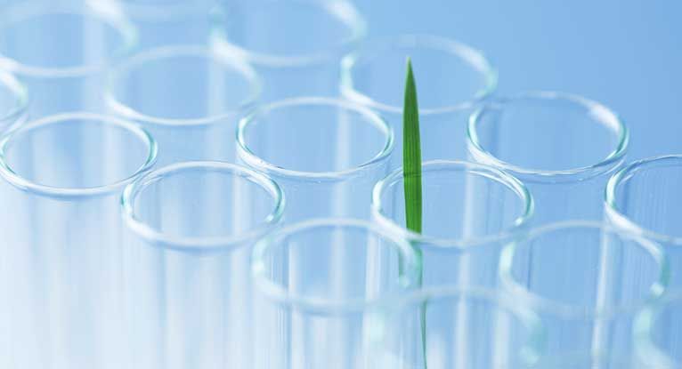 Roundup: Cancer, Poison & Politics