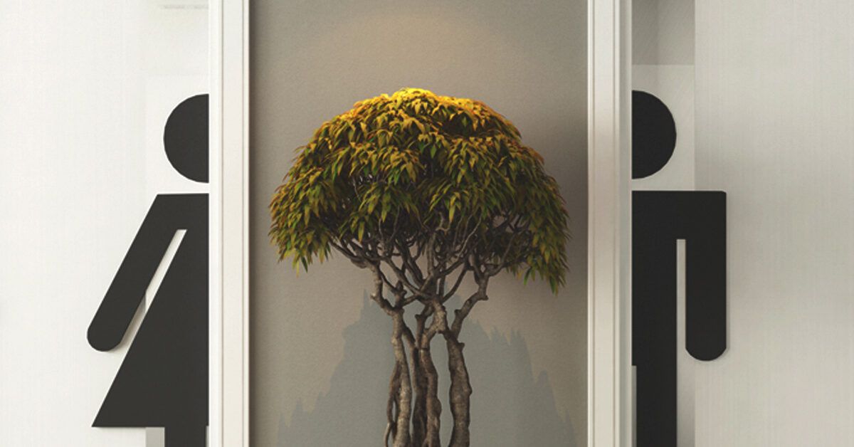 Getting and Using a Restroom Card If You Have Crohn’s