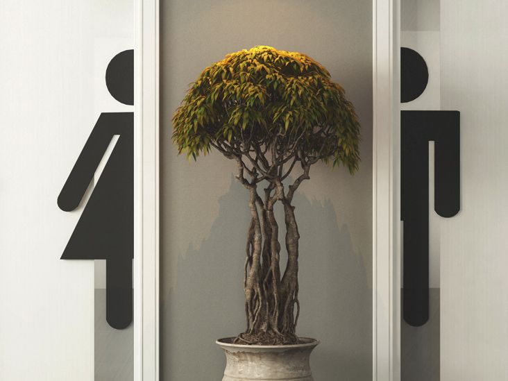 Getting and Using a Restroom Card If You Have Crohn’s