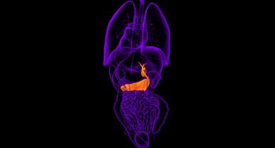 Gallbladder Disease: Overview, Types, and Diagnosis