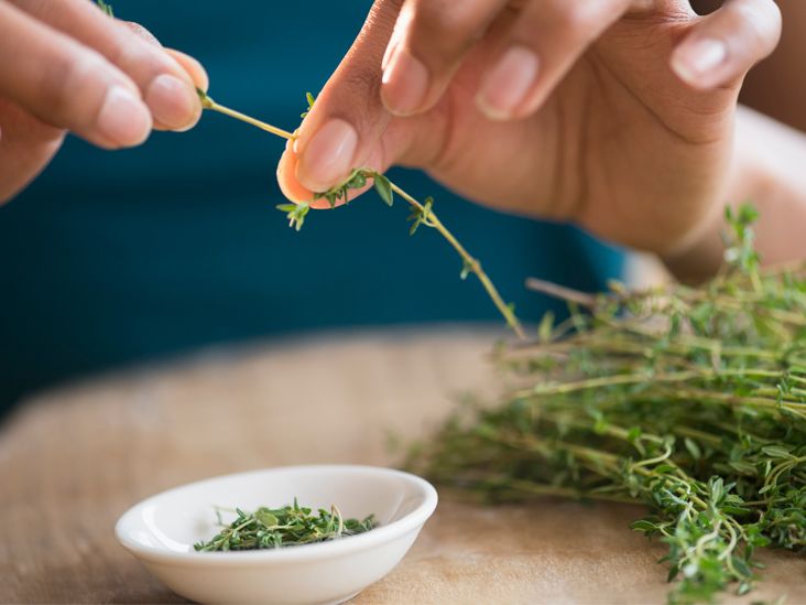 5 Natural Antibiotics to Try at Home