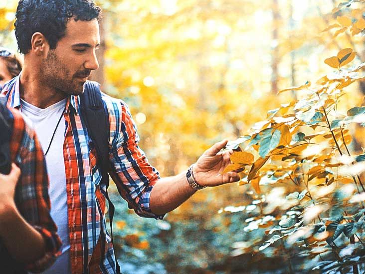 Phytophotodermatitis: Symptoms, Causes, and More