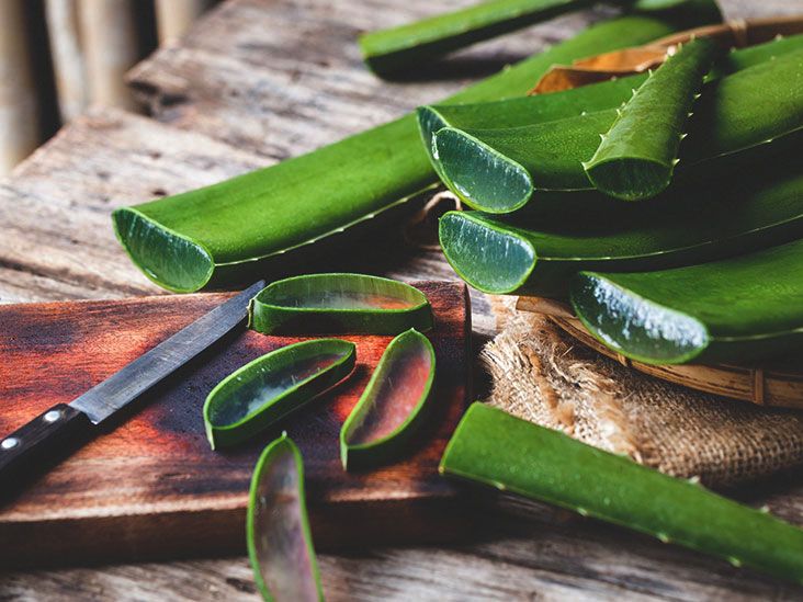 Home Remedies for Spider Bites: Symptoms, Tips & More