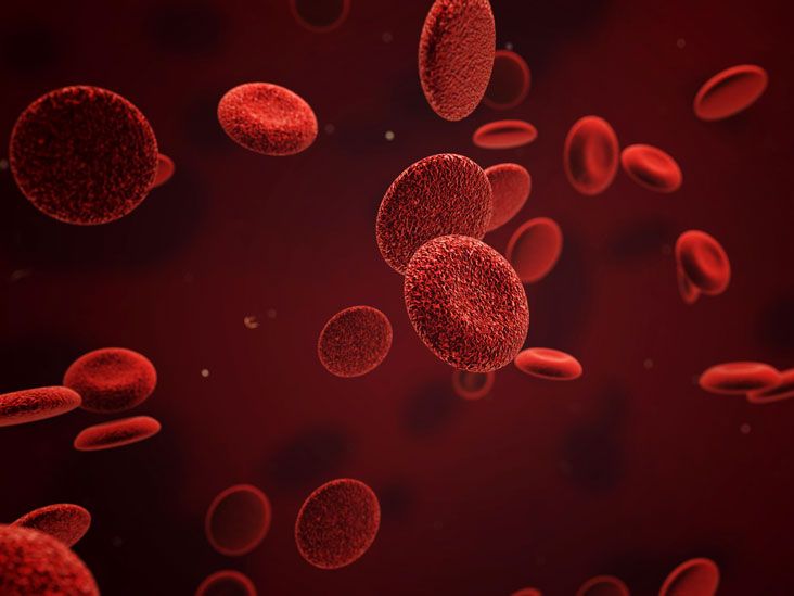 CD4 Count: Normal Range, vs. Viral Load, and What it Means for People