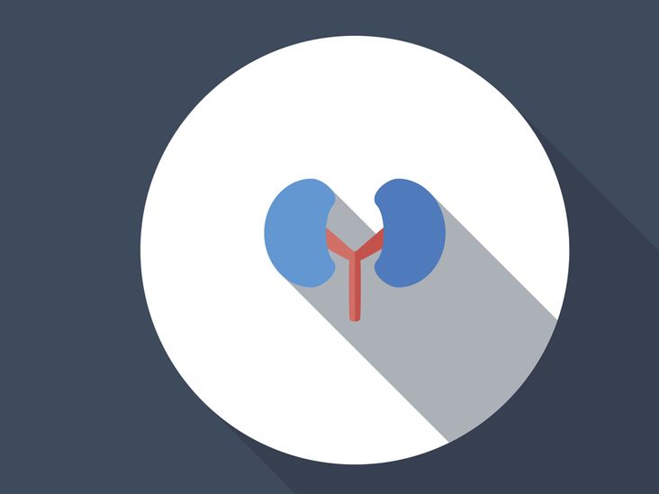 Kidney Function Tests: Purpose, Types, and Procedure
